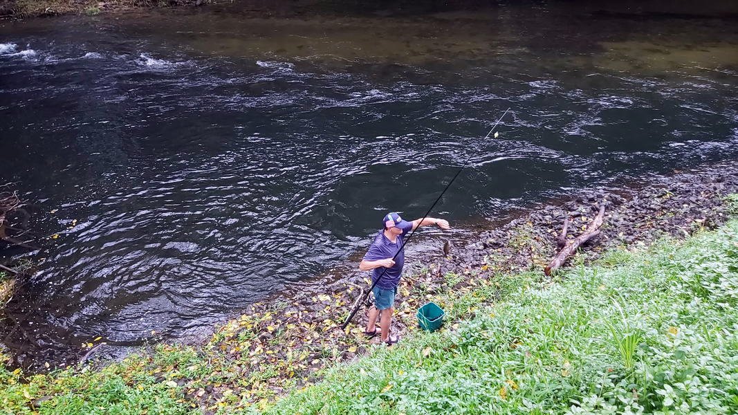 Little Mulgrave River Camp - Retirement On Tour