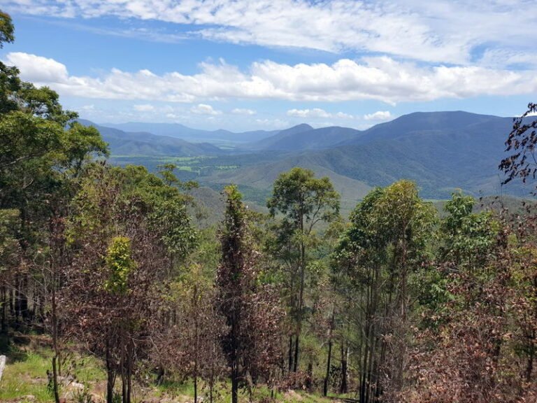 Exploring the Gillies Range - Retirement On Tour