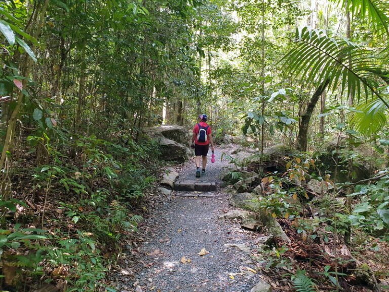 A Walk and Swim at Finch Hatton Gorge - Queensland - Retirement On Tour